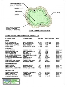 Rain Gardens: A Low Tech Approach to Stormwater Management | Fourth ...